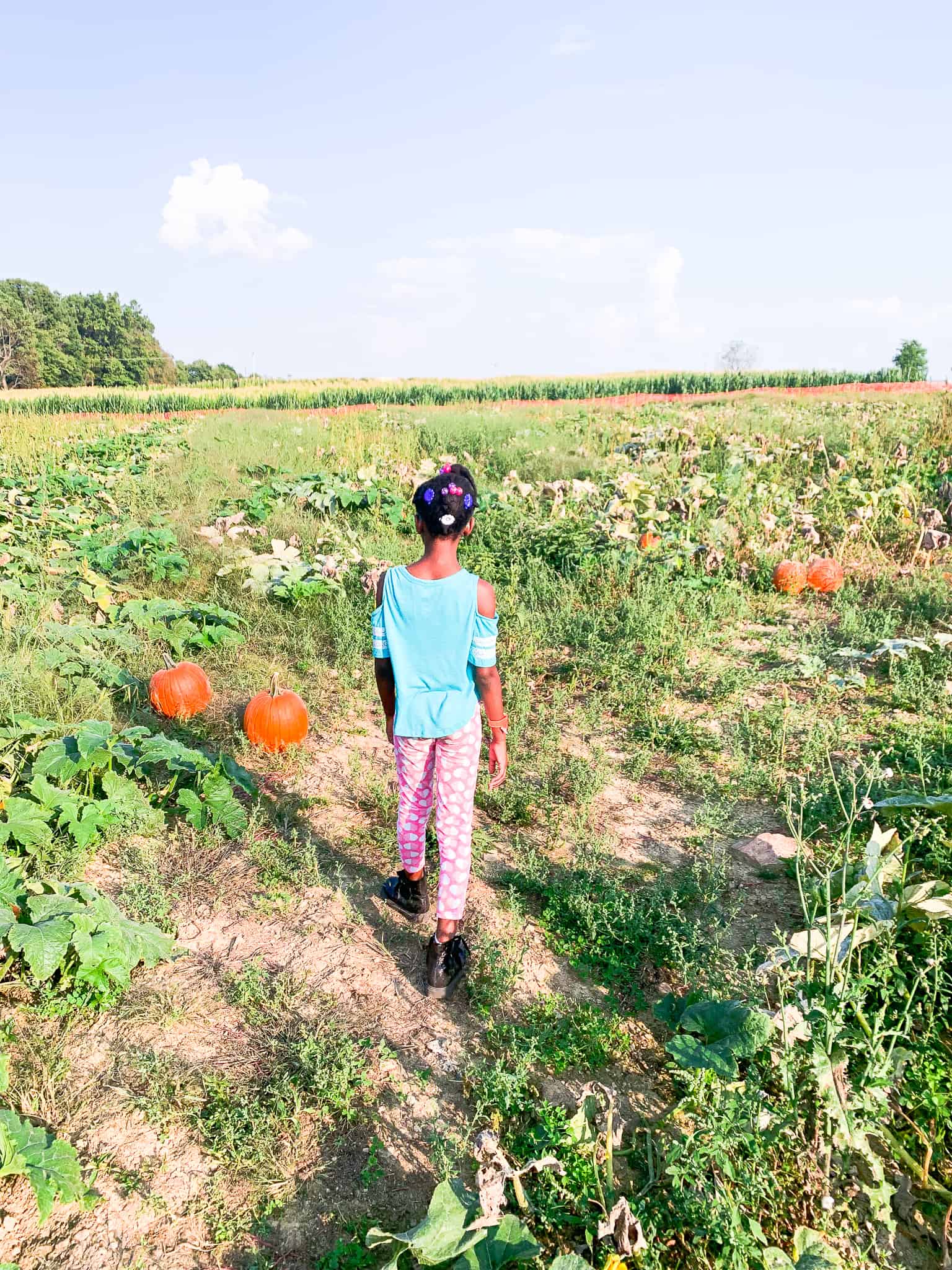 A Trip to the Pumpkin Patch - Our First One in PA – AHWZ