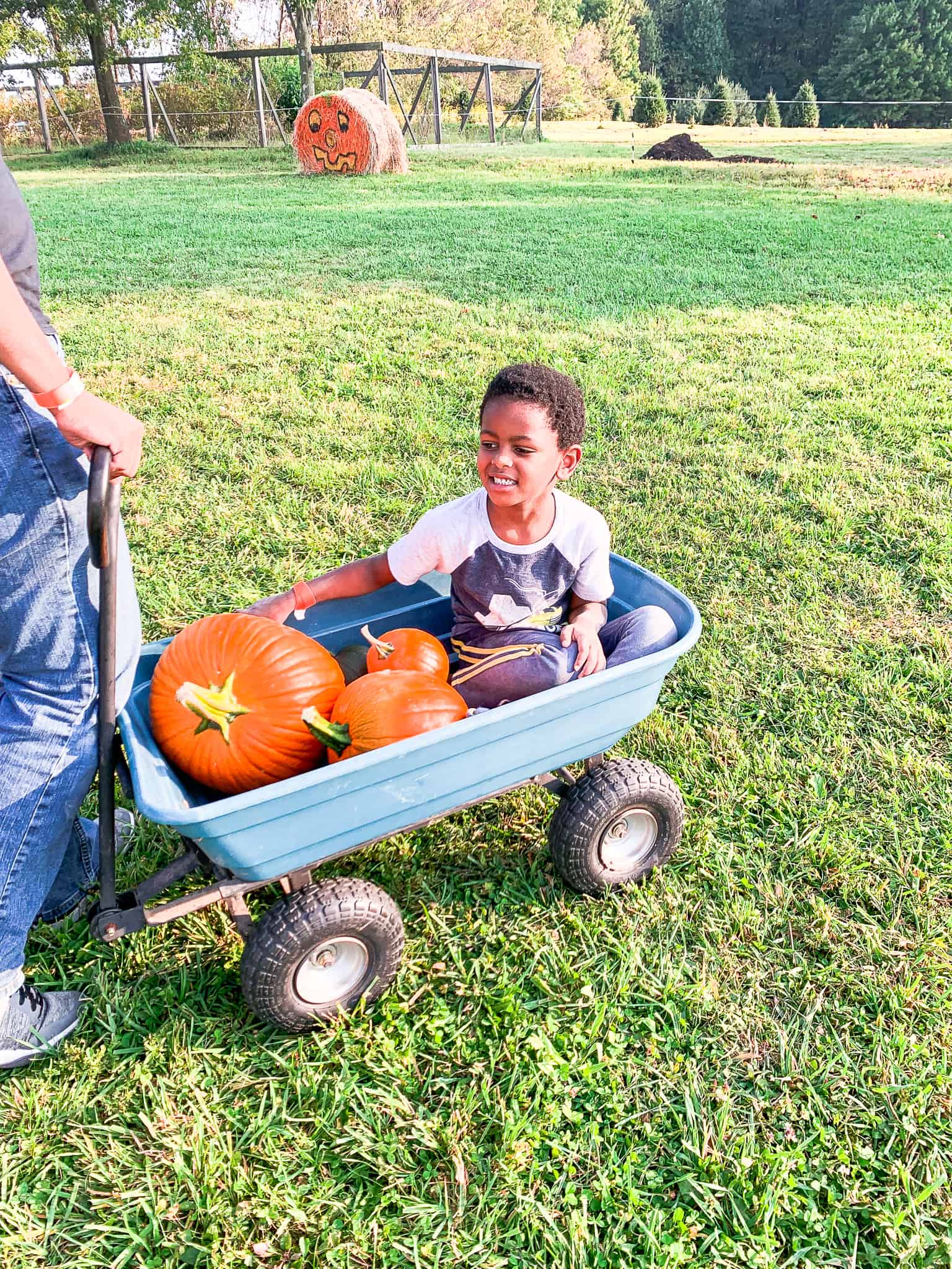 A Trip to the Pumpkin Patch - Our First One in PA – AHWZ
