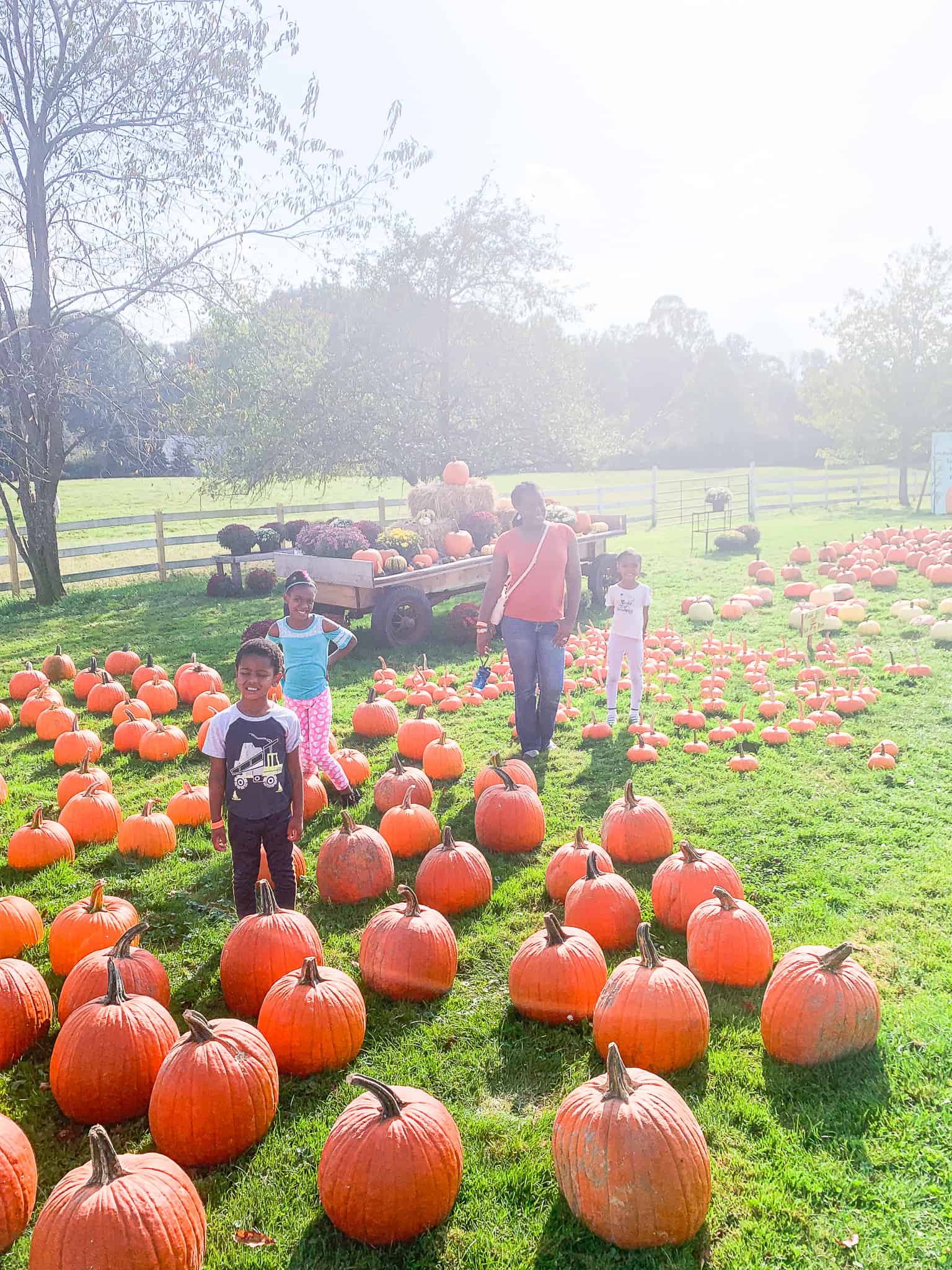 A Trip to the Pumpkin Patch - Our First One in PA – AHWZ