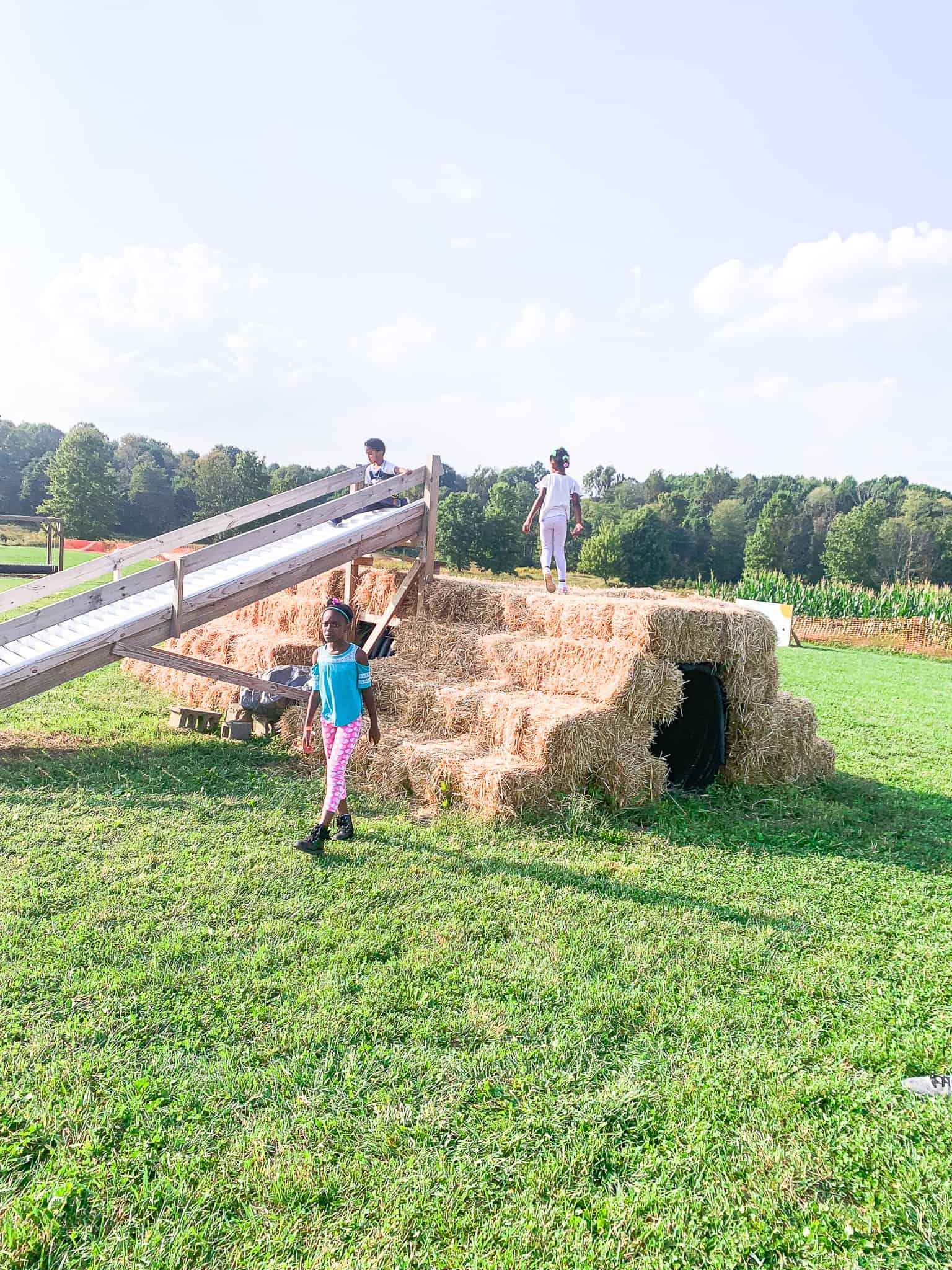 A Trip to the Pumpkin Patch - Our First One in PA – AHWZ