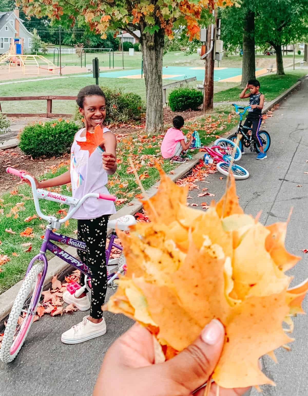 Fall Leaf Collecting - Fun Fall Activities for Kids – AHWZ
