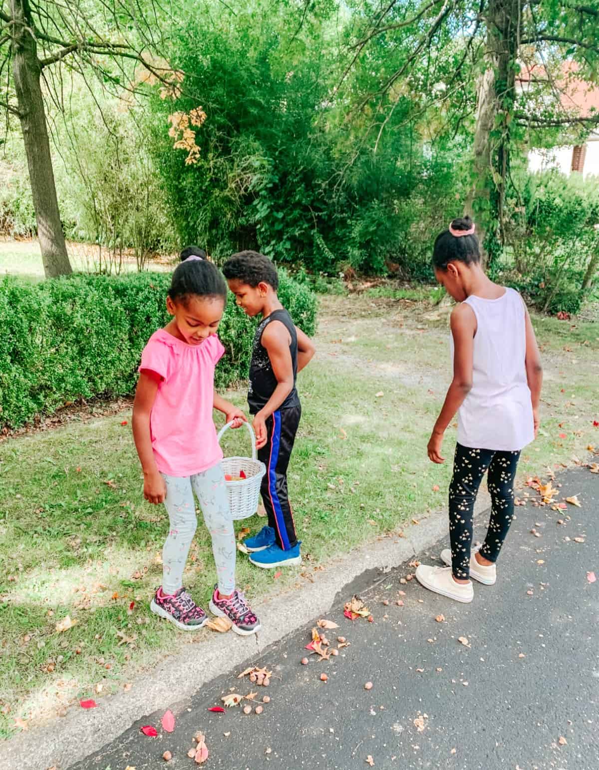 Fall Leaf Collecting - Fun Fall Activities for Kids – AHWZ