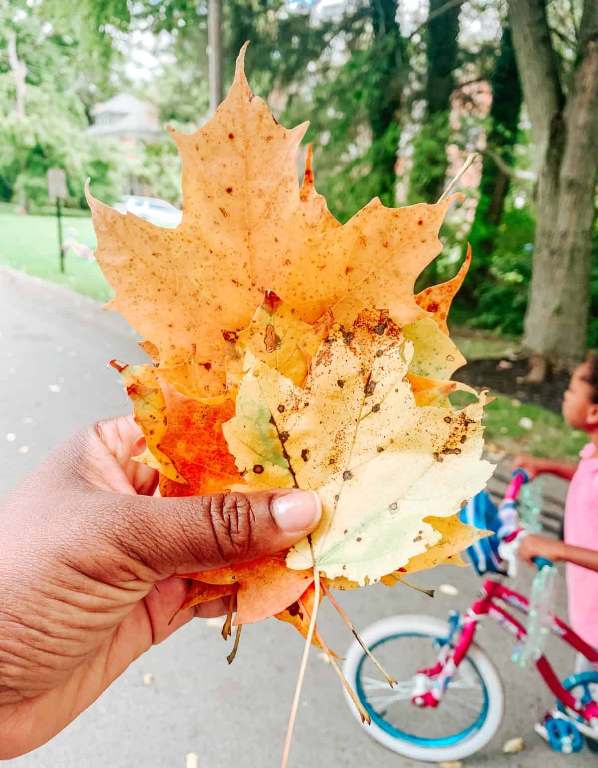 Fall Leaf Collecting - Fun Fall Activities for Kids – AHWZ