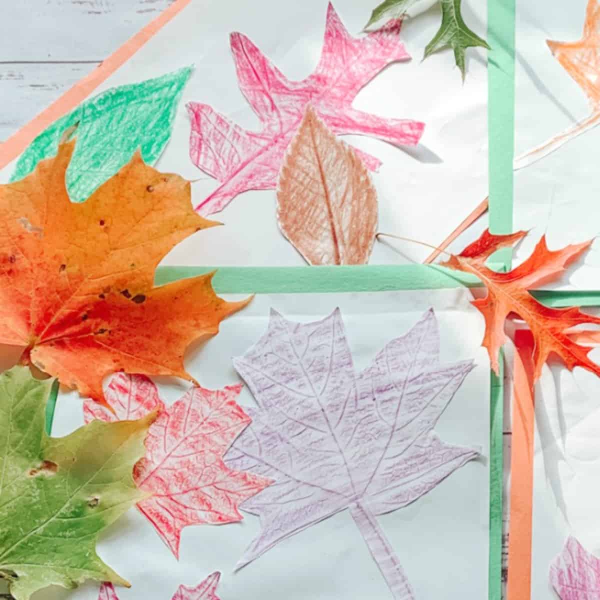 Fall Leaf Rubbing Art - Fall Activity for Kids – AHWZ