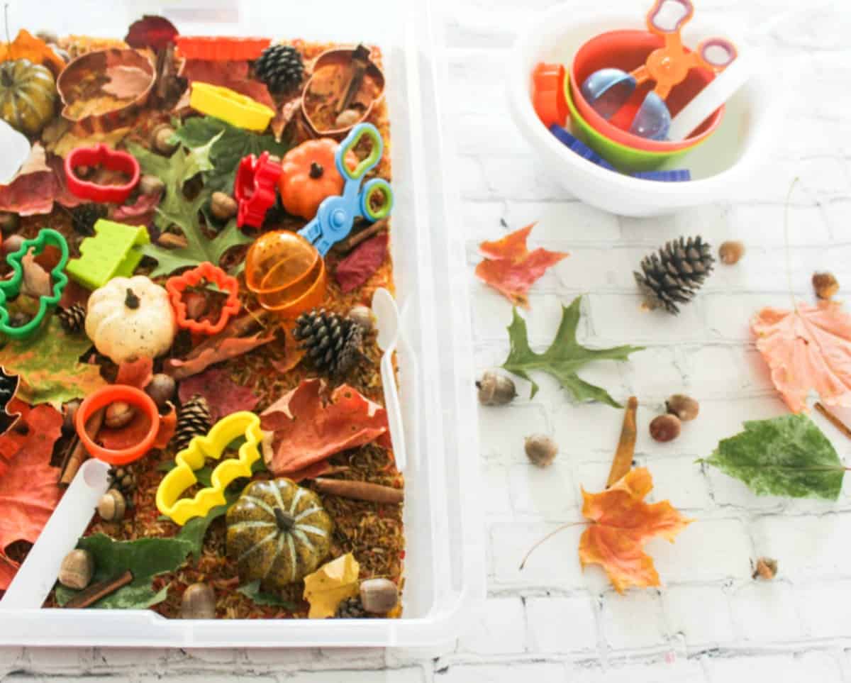 Fall Sensory Activity Bin for Kids – AHWZ