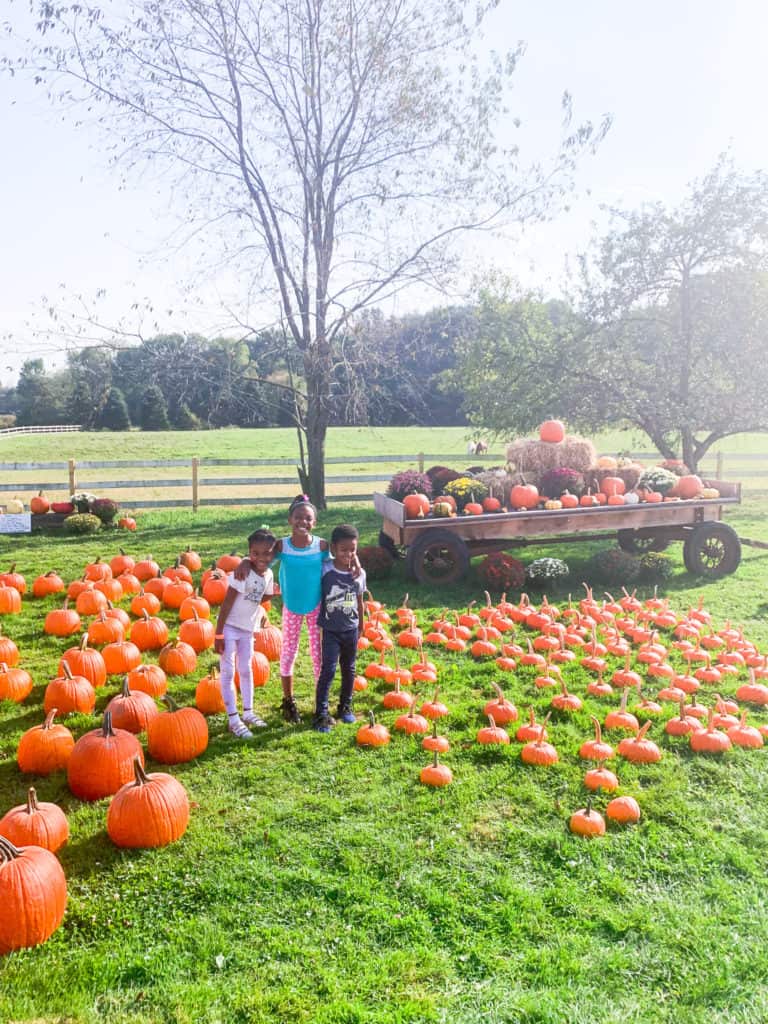 Going to the Pumpkin Patch -Picking Pumpkins from a Real Pumpkin Patch ...