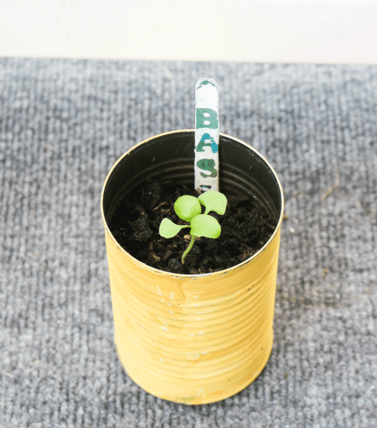Tin Can Herb and Flower Pot Planters – AHWZ