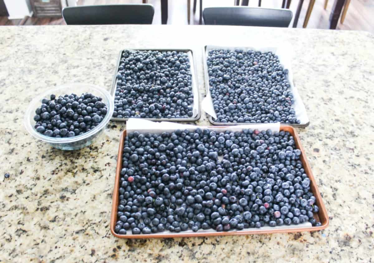 How to Wash & Freeze Summer Berries – AHWZ