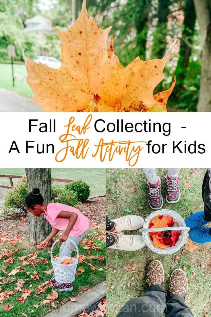 Fall Leaf Collecting - Fun Fall Activities for Kids – AHWZ