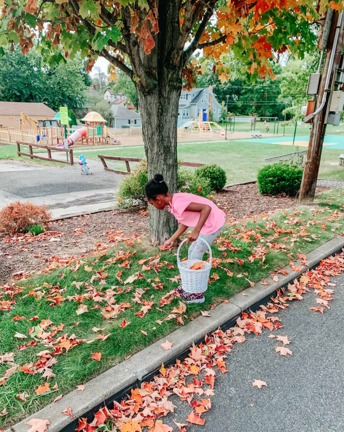 Collecting Fall Leaves With The Kids Fall Fun Activity For Kids collecting-fall-leaves-with-the-kids-fall-fun-activity-for-kids