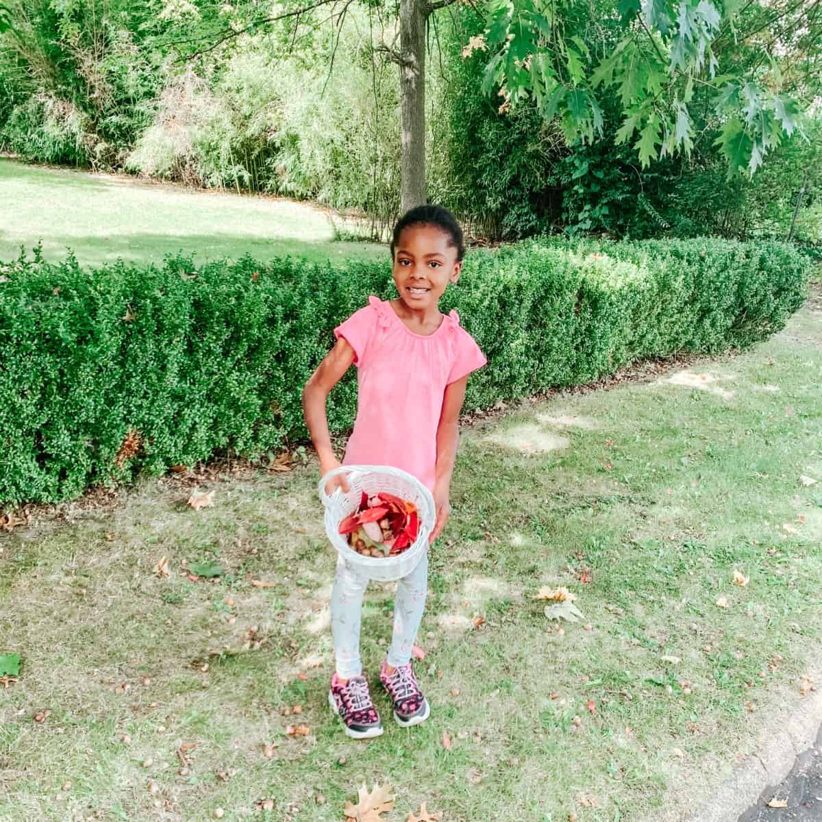 Fall Leaf Collecting - Fun Fall Activities for Kids – AHWZ