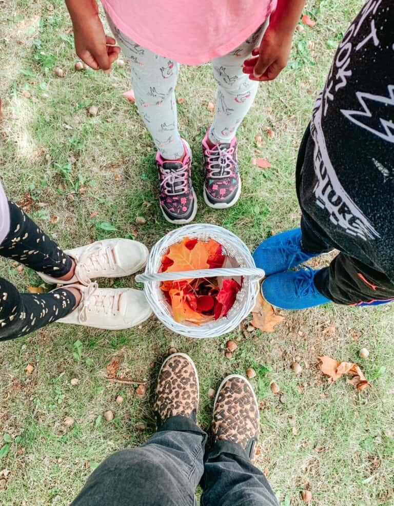 Fall Leaf Collecting - Fun Fall Activities for Kids – AHWZ