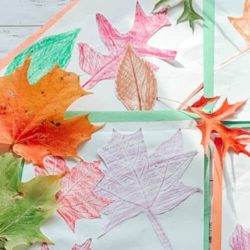 Fall Leaf Rubbing Art - Fall Activity for Kids – AHWZ