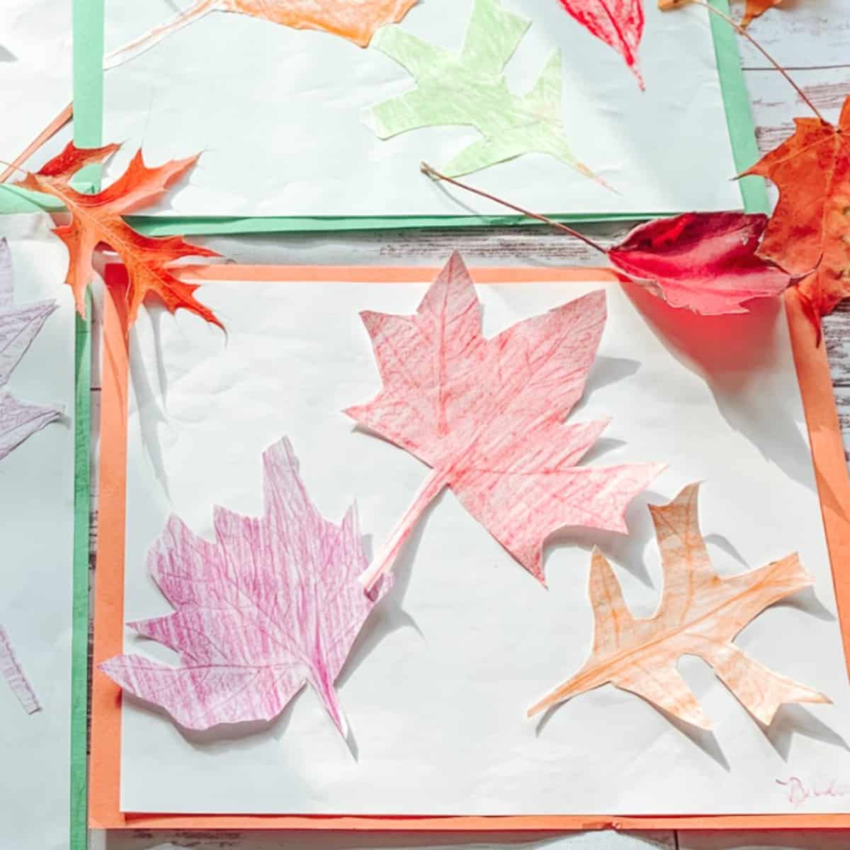 Fall Leaf Rubbing - Fall Leaf Printing - Fall Activities for Kids ...